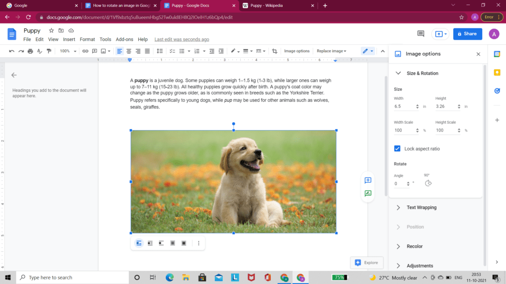 How to Rotate an Image in Google Docs? [2025]