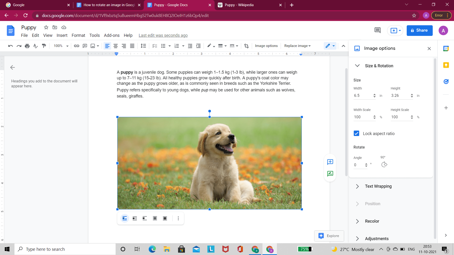How To Rotate An Image In Google Docs 2023 Electronicshub