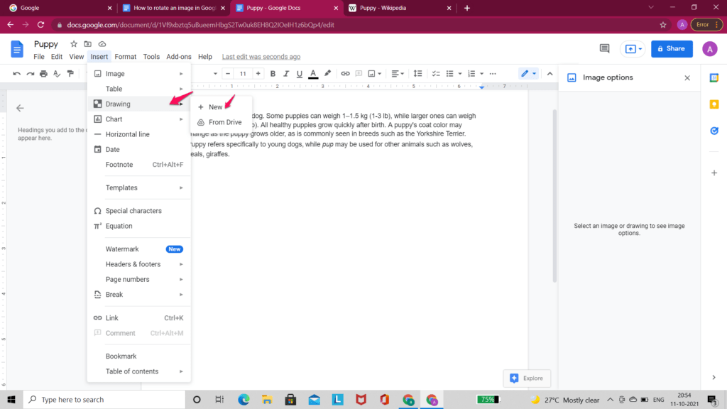 How to Rotate an Image in Google Docs? [2025]