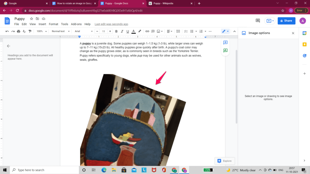 How to Rotate an Image in Google Docs? [2025]