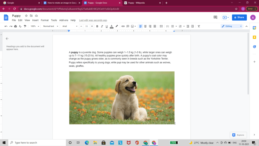 How to Rotate an Image in Google Docs? [2025]