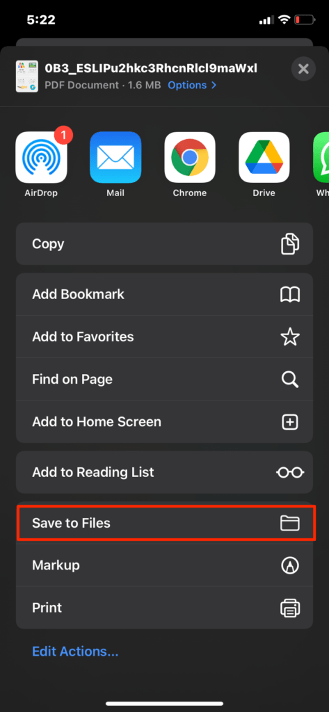 How to Download Google Drive Files on iPhone? [2025]